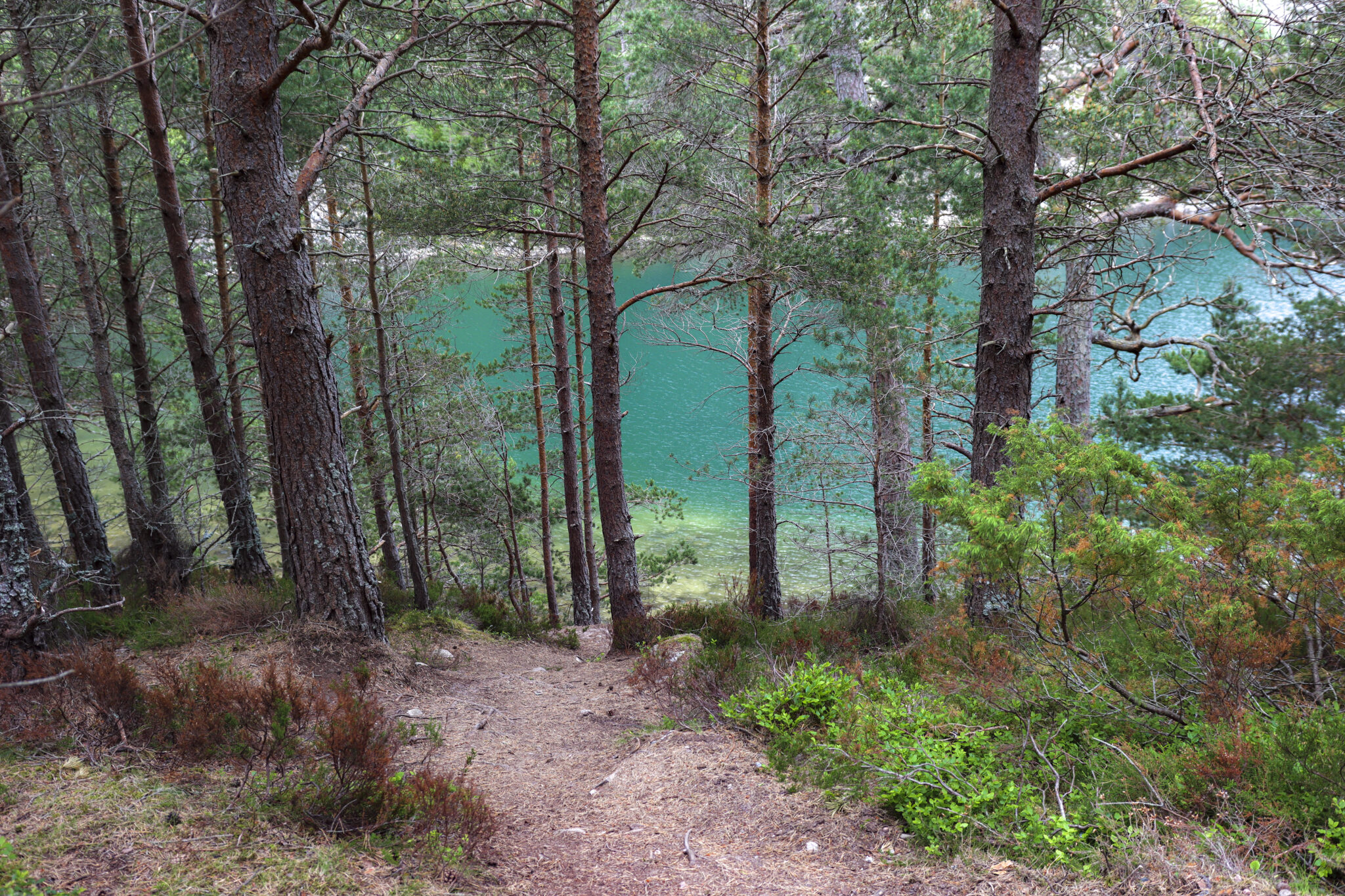 The Green Loch or An Lochan Uaine | Visit Forres