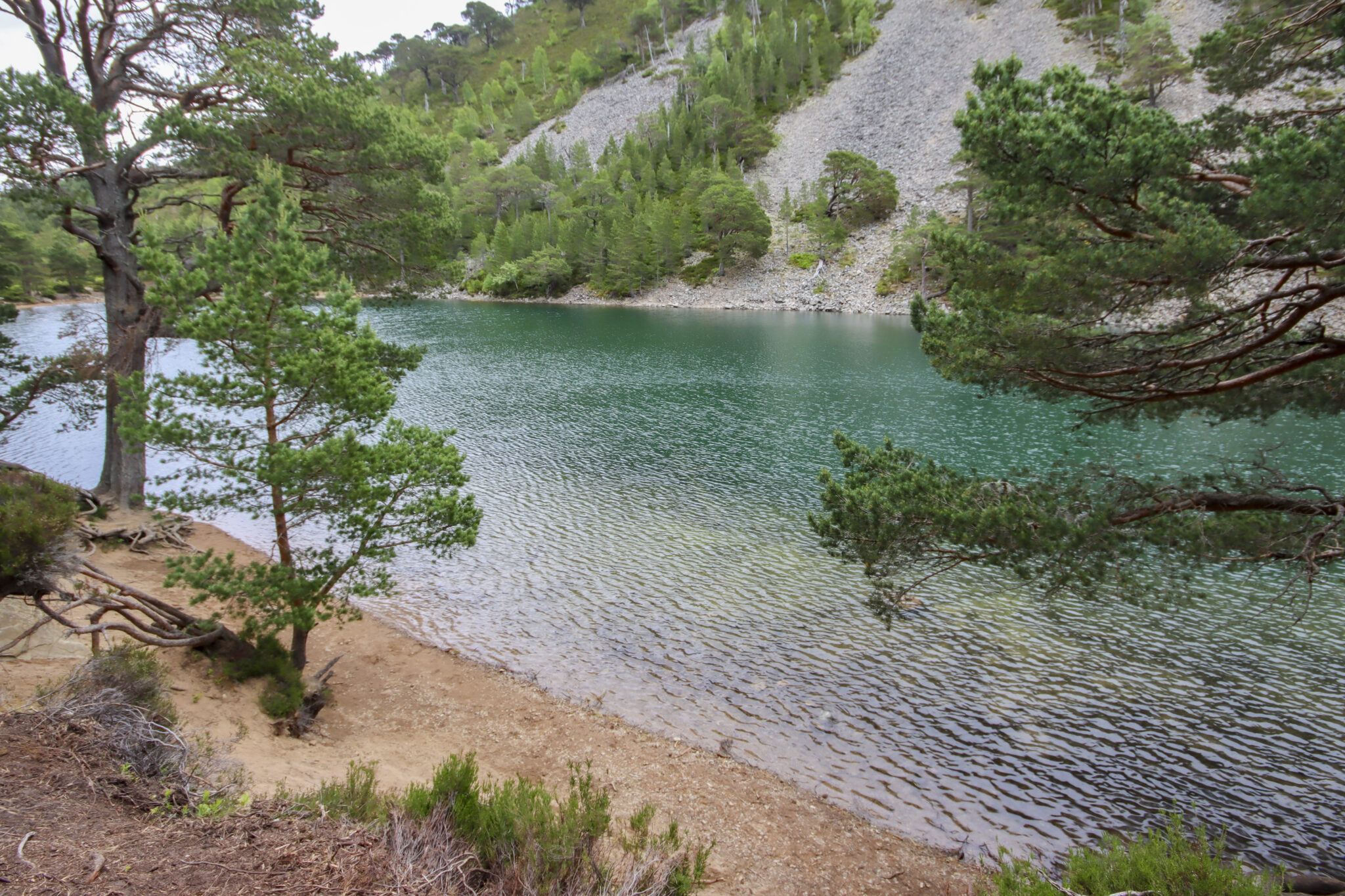 The Green Loch or An Lochan Uaine | Visit Forres
