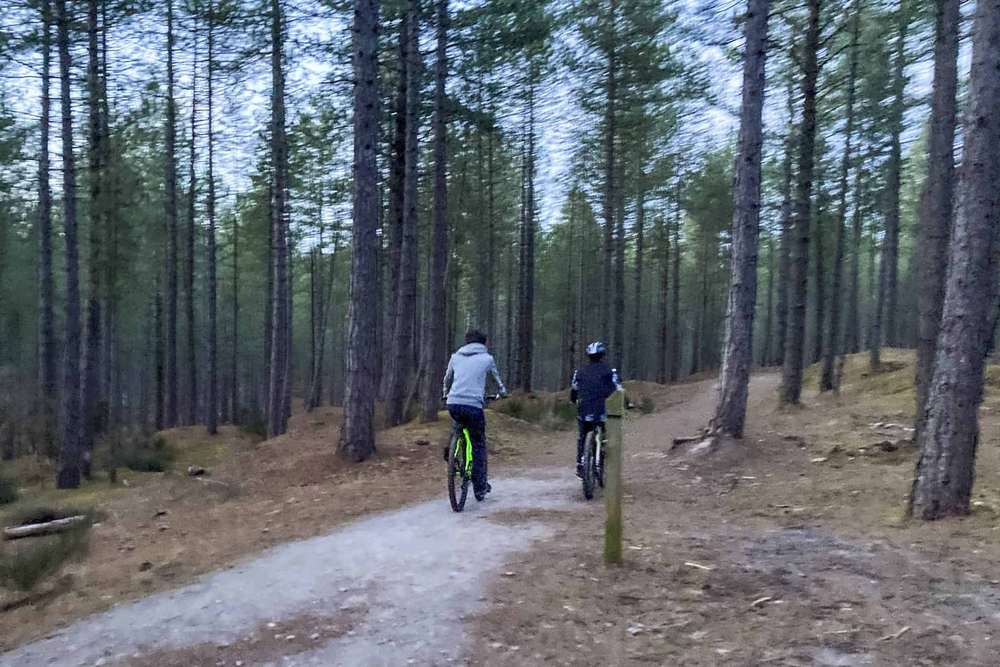 Culbin Forest | Visit Forres