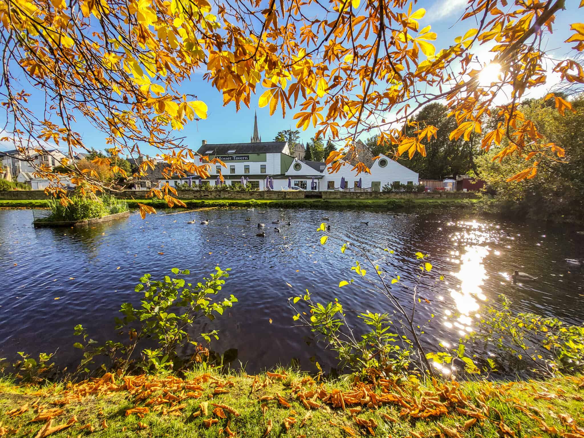 Blog | Visit Forres