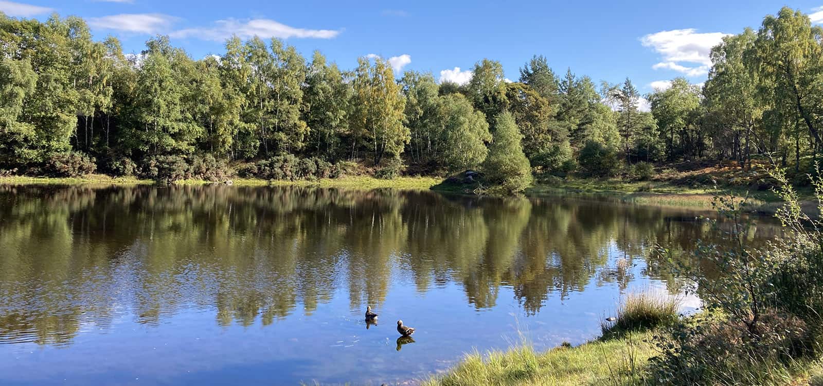 Craigellachie Nature Reserve | Visit Forres
